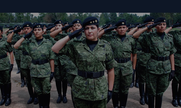 Soldado Del Ejército Saludando A La Bandera